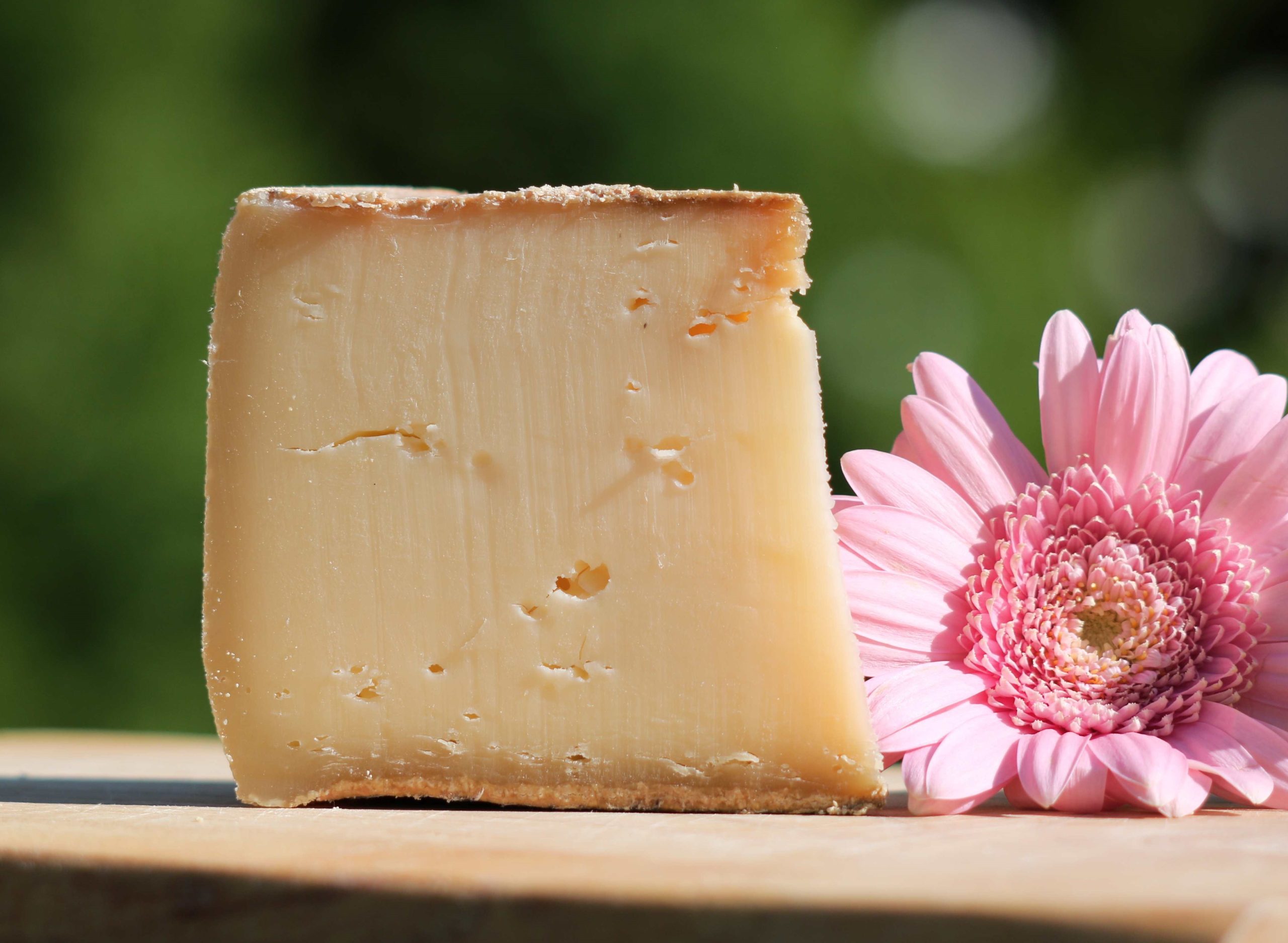 Vacherin fribourgeois d´alpage - Les Nouveaux Fromagers
